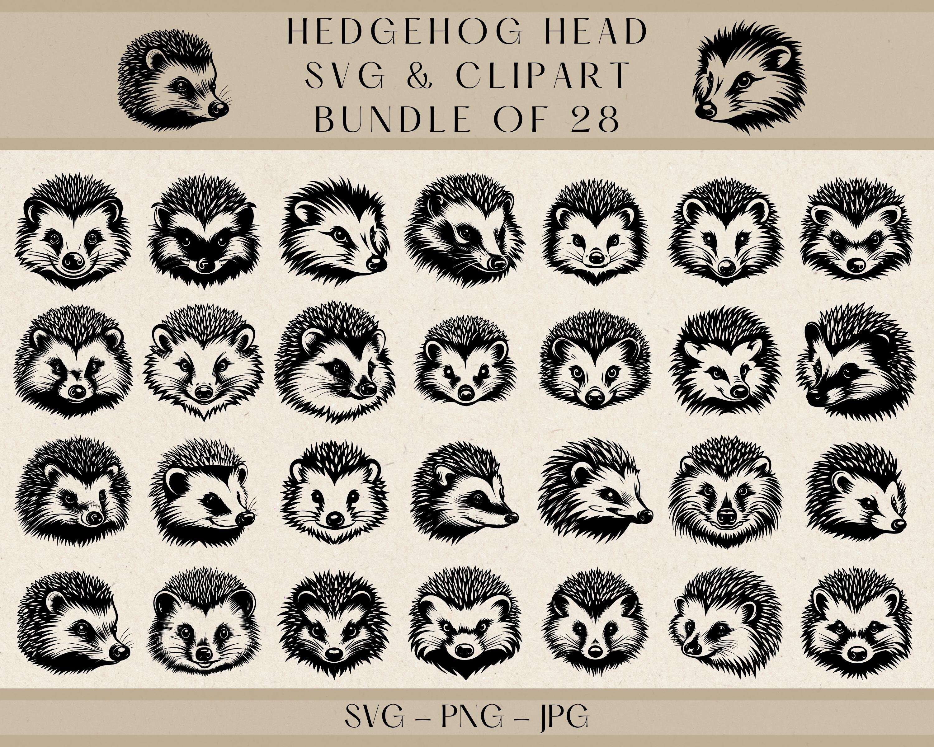 Hedgehog Head SVG, Hedgehog Head Vector, Hedgehog Head Clipart ...