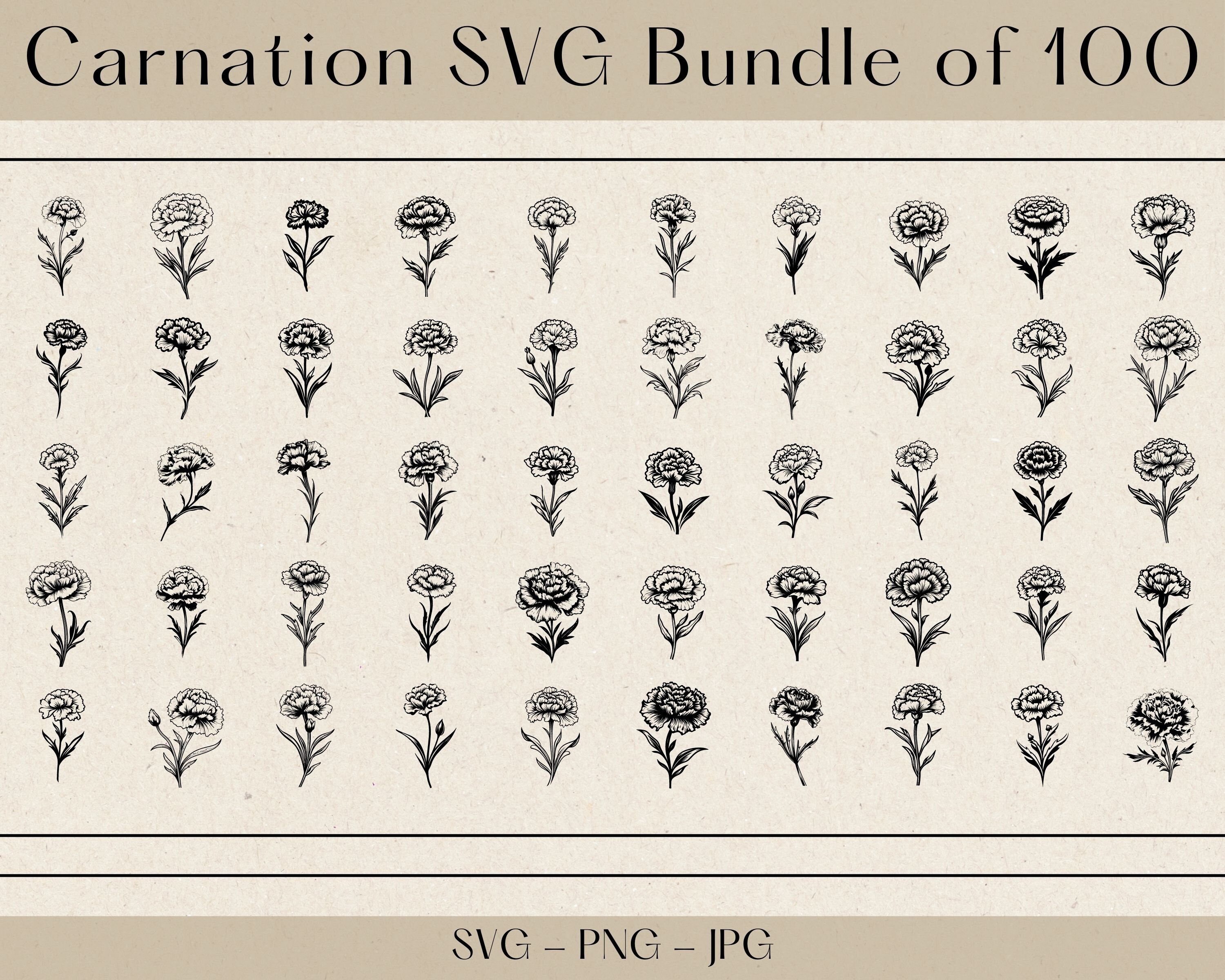 Carnation SVG Bundle Carnation SVG Carnation Flower Svg - Etsy
