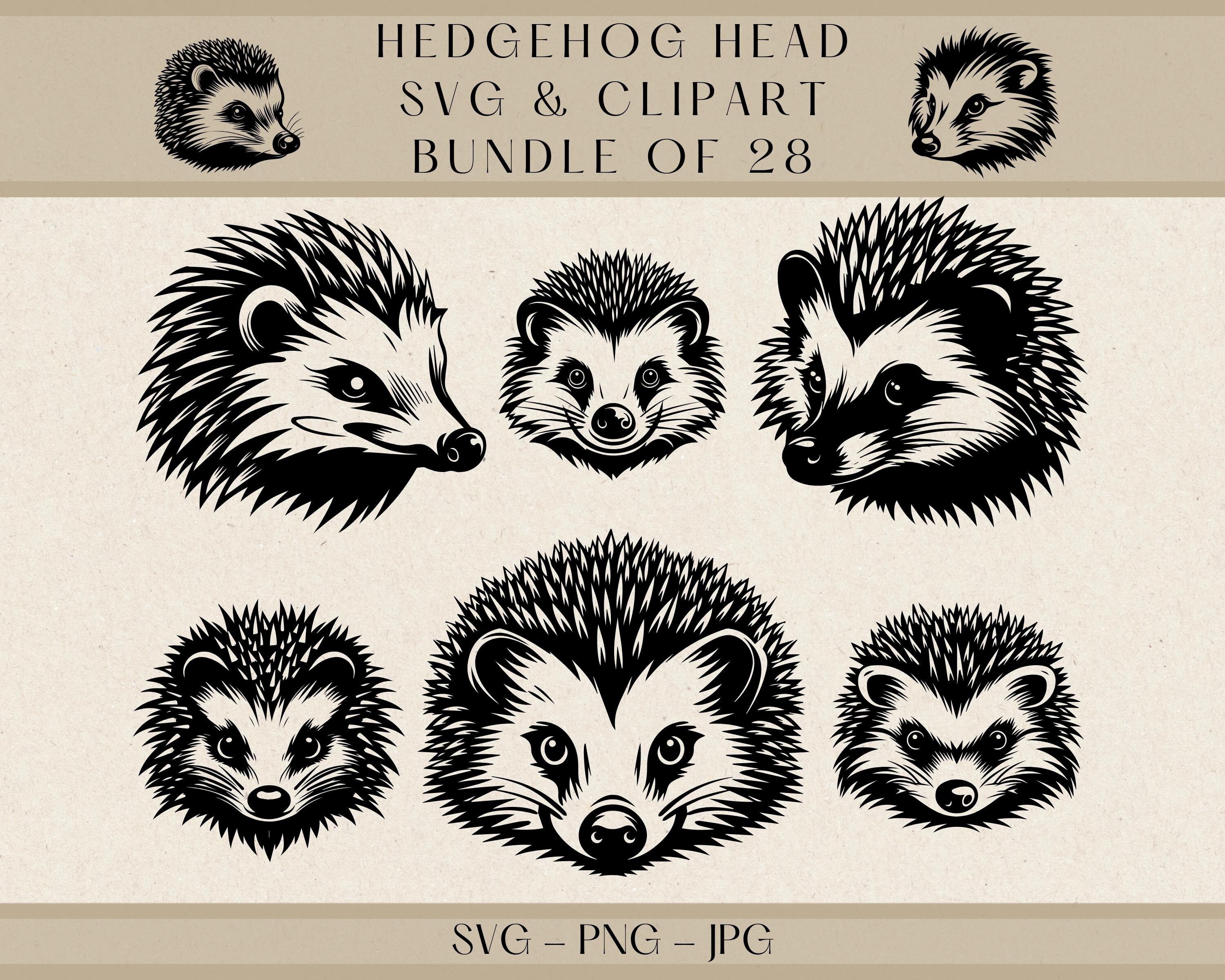 Hedgehog Head SVG, Hedgehog Head Vector, Hedgehog Head Clipart ...