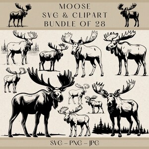 Moose Svg - Etsy