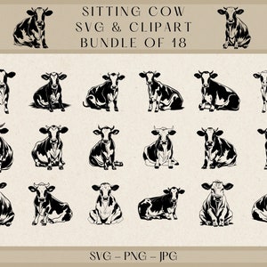 Sitting Cow Svg, Sitting Cow Png, Cow SVG, Cow SVG Bundle, Cow Head Svg ...