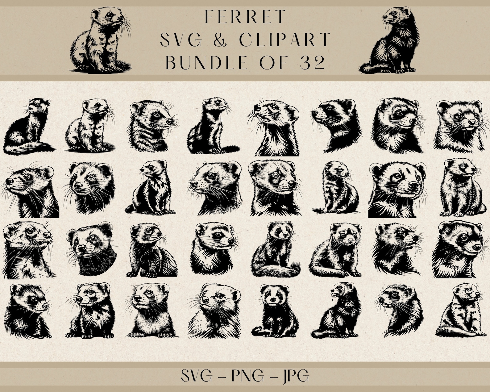 Ferret Svg, Ferret Png, Ferret Clipart, Ferret Vector, Ferret ...