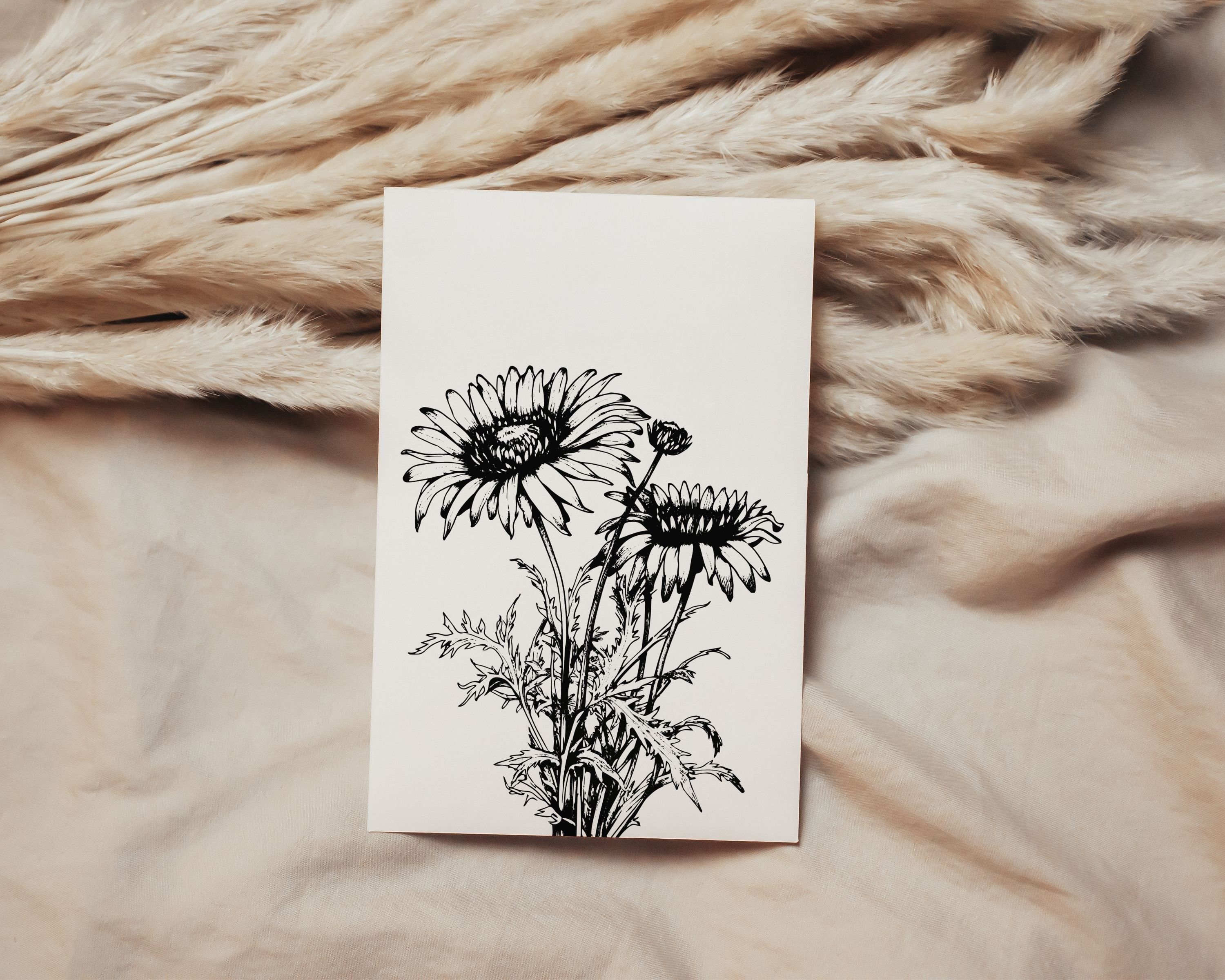 Aster Svg, Aster Png, Aster Dxf, Aster Clipart, Aster Vector, Aster ...