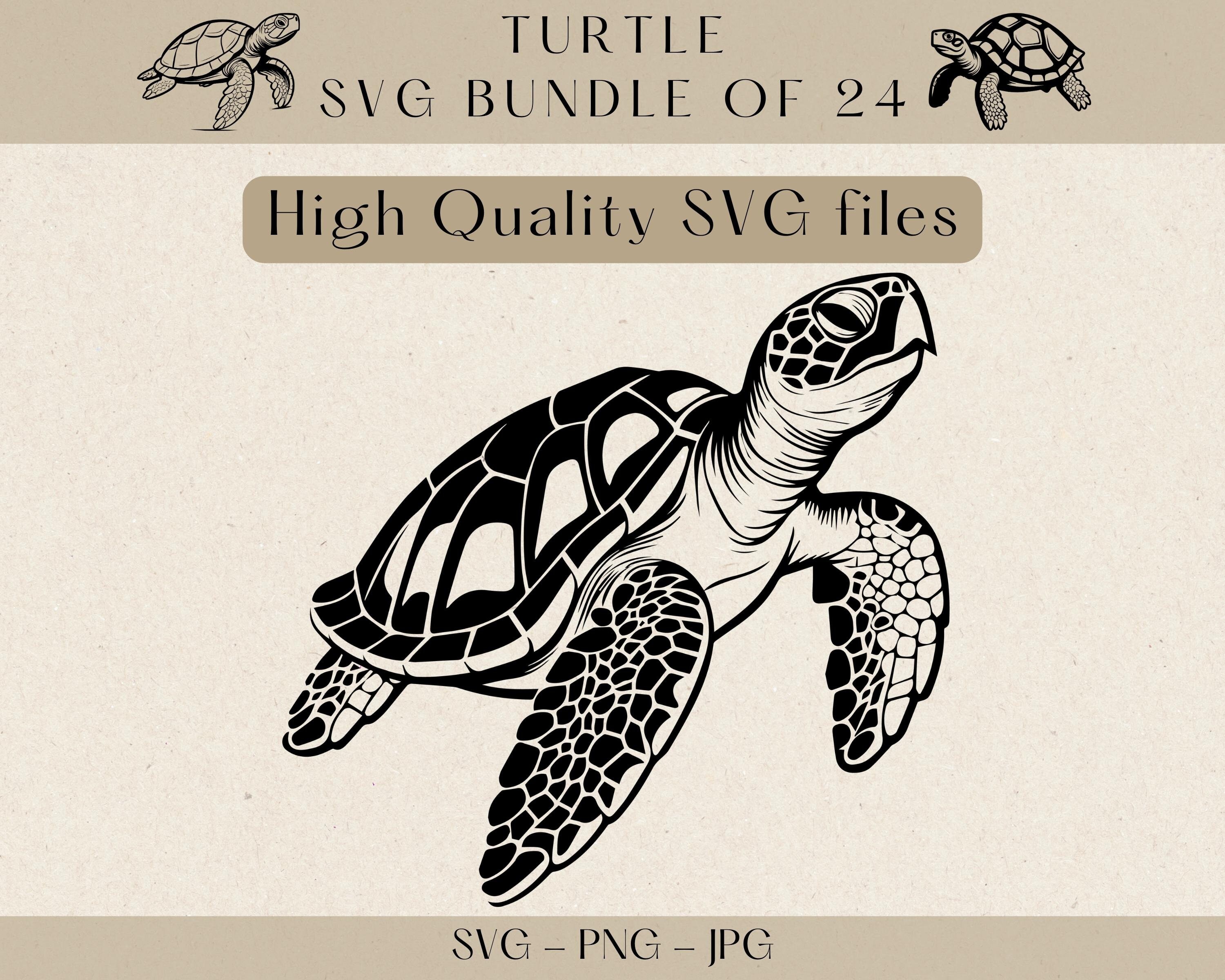 Turtle Svg, Turtle Clipart, Turtle Png, Turtle Silhouette, Turtle ...