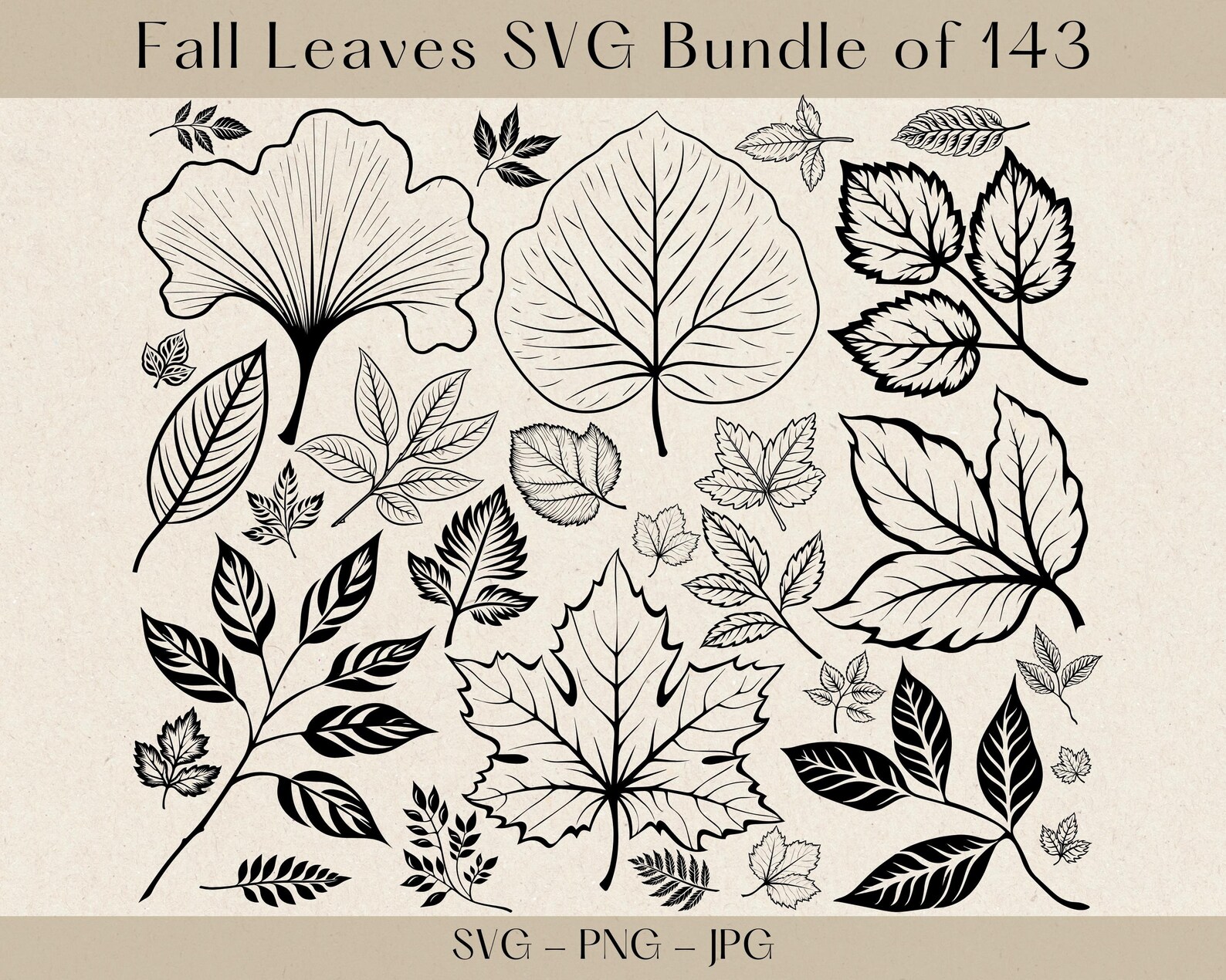 Fall Leaves SVG, Autumn Leaves SVG, Fall Leaf SVG, Fall Svg, Fall Leaf ...
