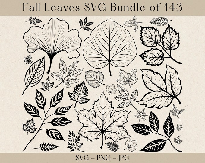 Fall Leaf SVG Bundle, Fall Leaves SVG, Autumn Leaves SVG, Fall Leaf Cut ...