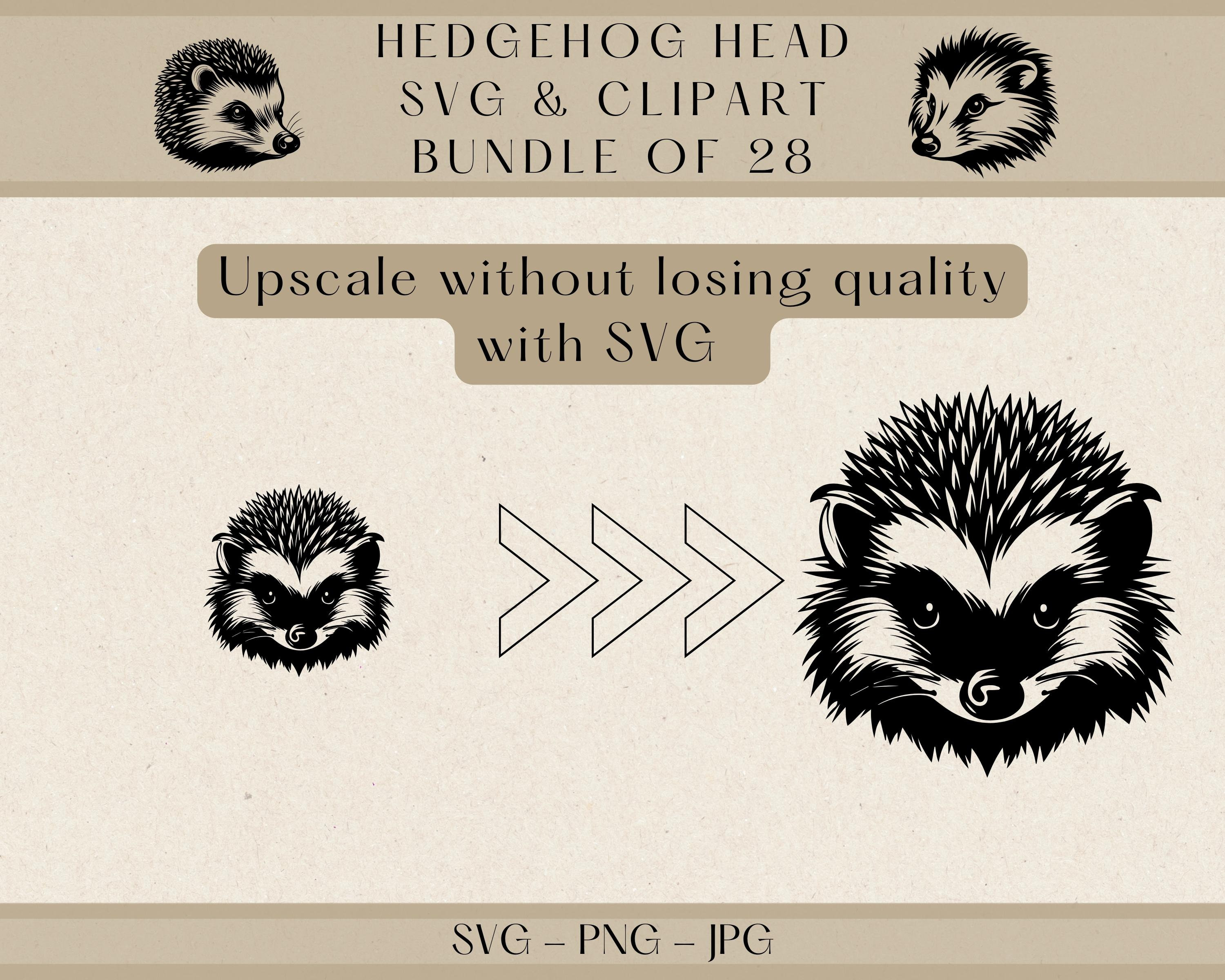 Hedgehog Head SVG, Hedgehog Head Vector, Hedgehog Head Clipart ...