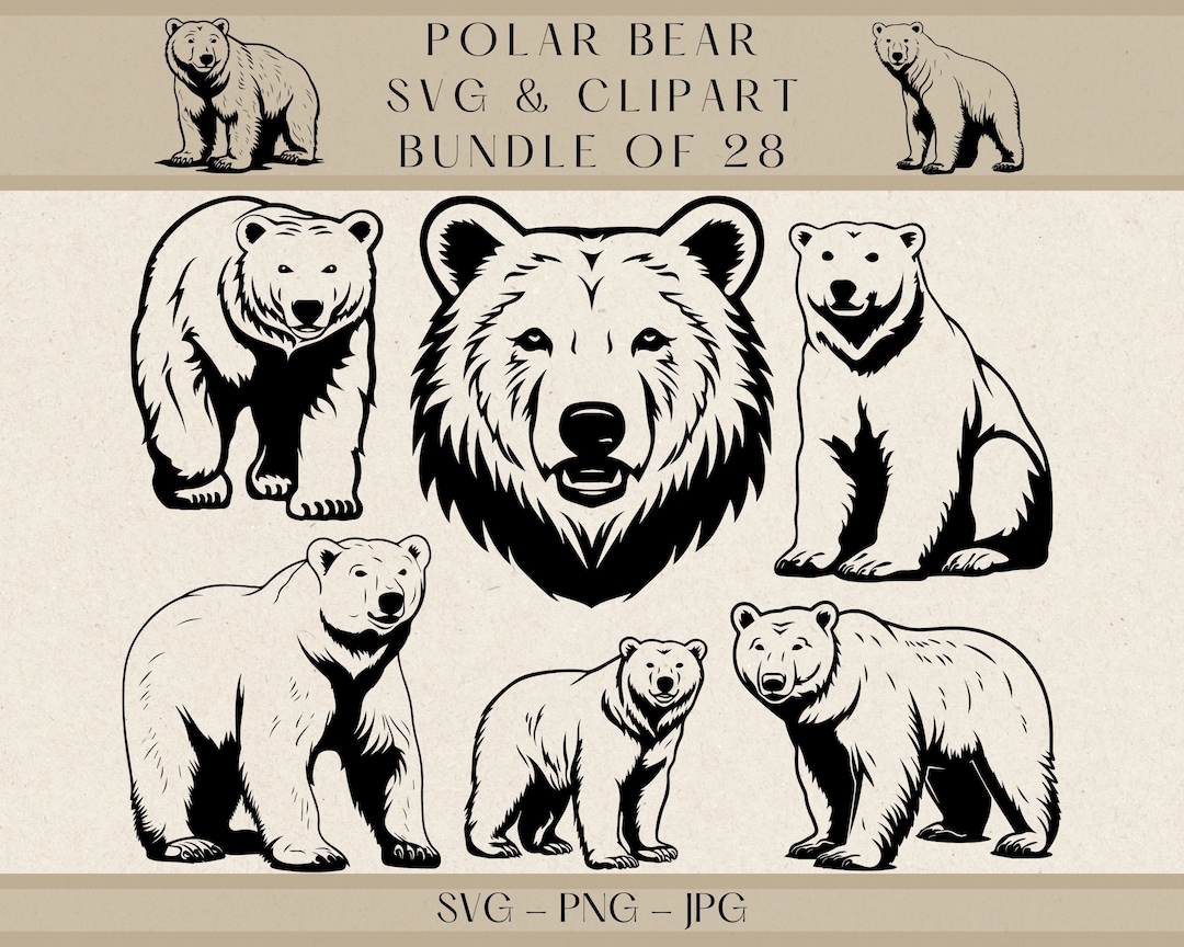 Polar Bear SVG, Polar Bear Png, Polar Bear Clipart, Polar Bear Vector ...