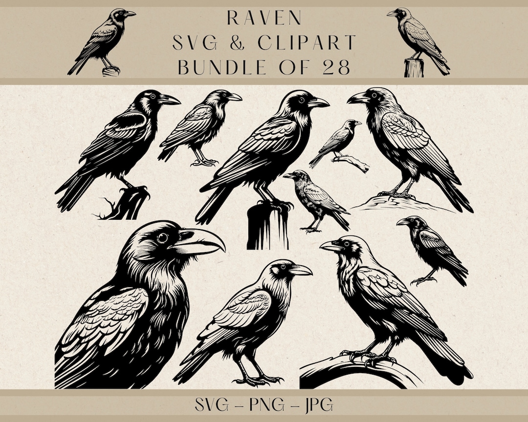Raven SVG, Raven Png, Raven Vector, Raven Clipart, Raven Silhouette ...