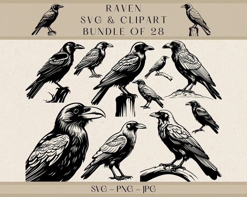 Rabe SVG, Rabe Png, Rabe Vektor, Rabe Clipart, Rabe Silhouette, Krähe ...