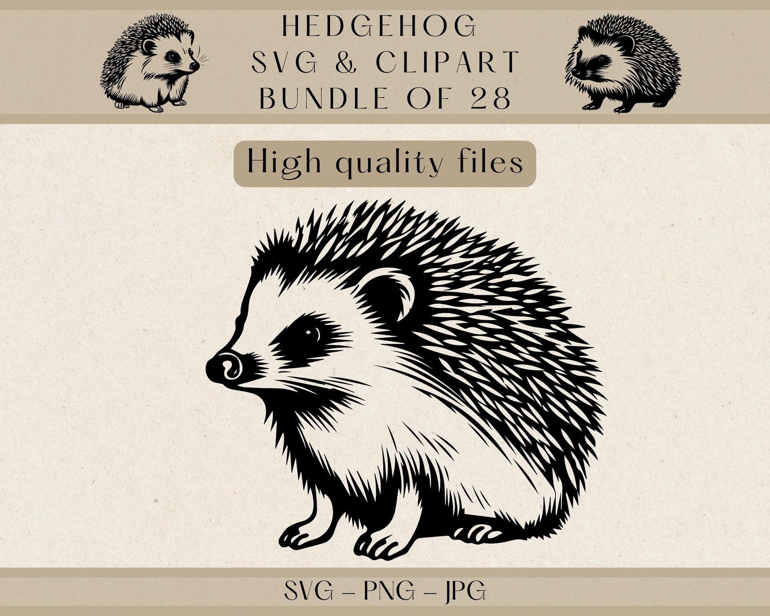 Hedgehog SVG Hedgehog PNG Hedgehog Clipart Hedgehog Vector - Etsy