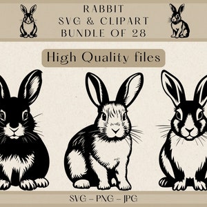 Hase SVG, Hase Png, Hase Clipart, Hase Vektor, Hase Silhouette, Hase ...