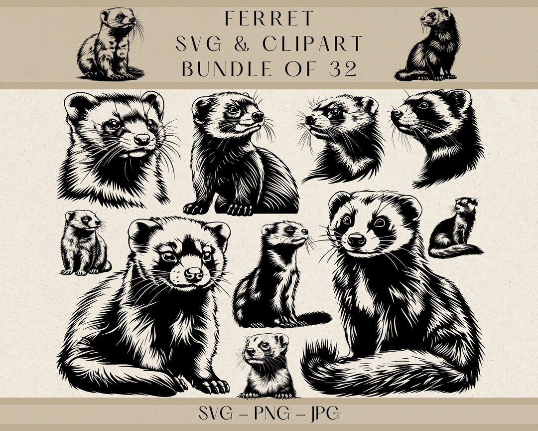 Ferret Svg, Ferret Png, Ferret Clipart, Ferret Vector, Ferret ...
