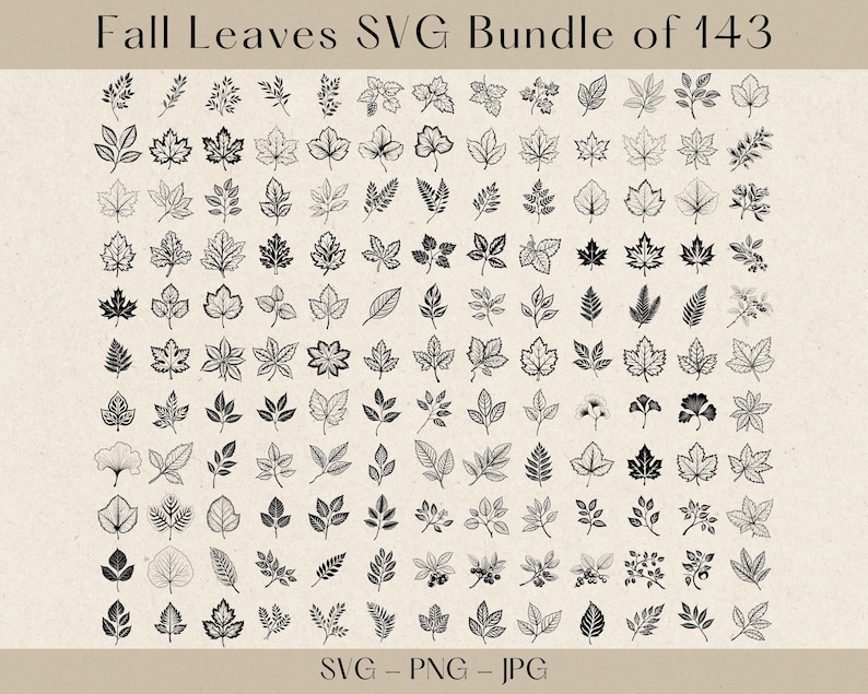 Fall Leaves SVG, Autumn Leaves SVG, Fall Leaf SVG, Fall Svg, Fall Leaf ...