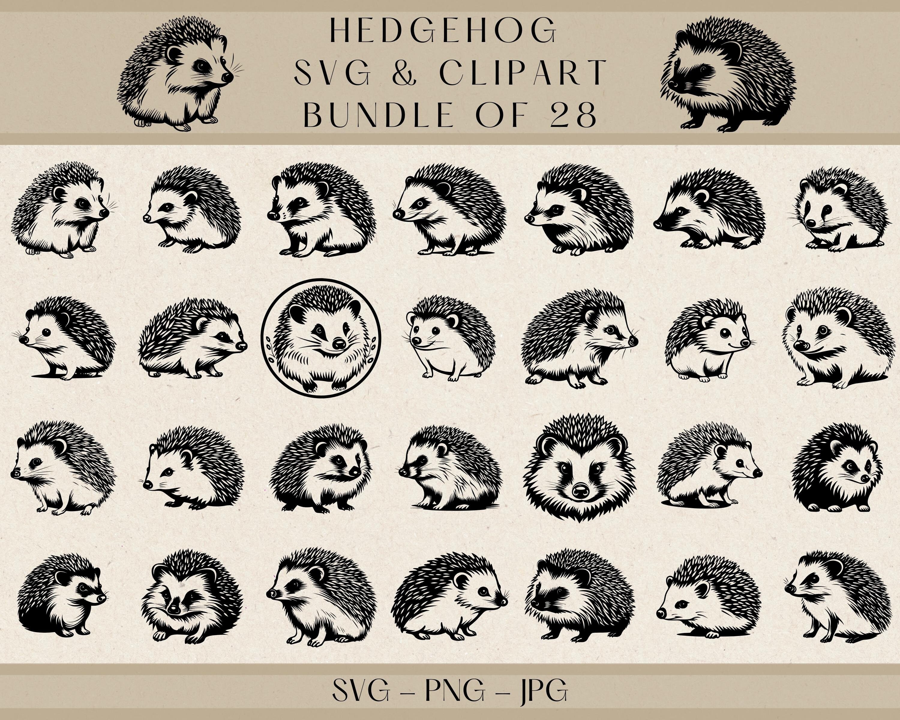 Hedgehog SVG Hedgehog PNG Hedgehog Clipart Hedgehog Vector - Etsy