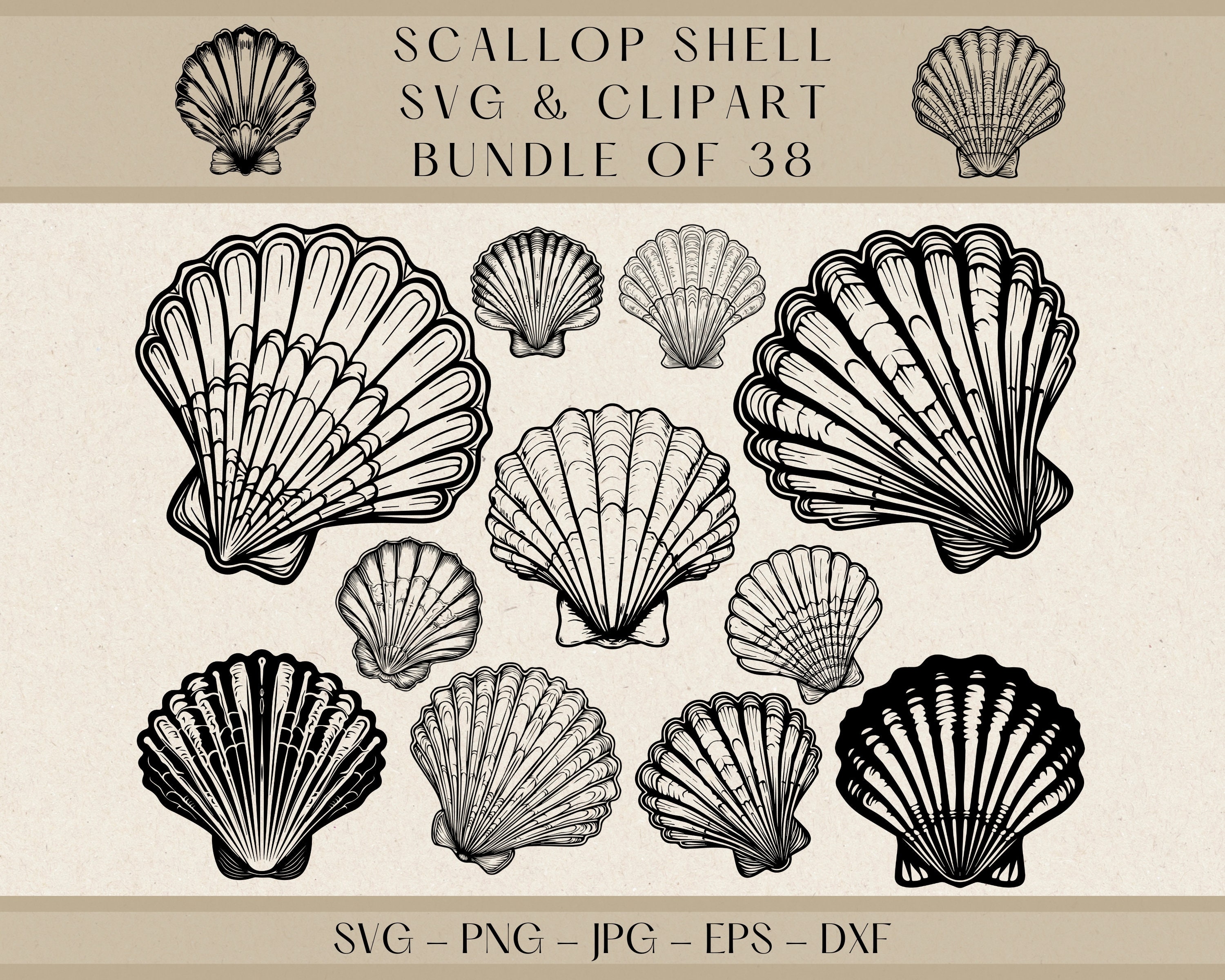 Scallop Shell Outline