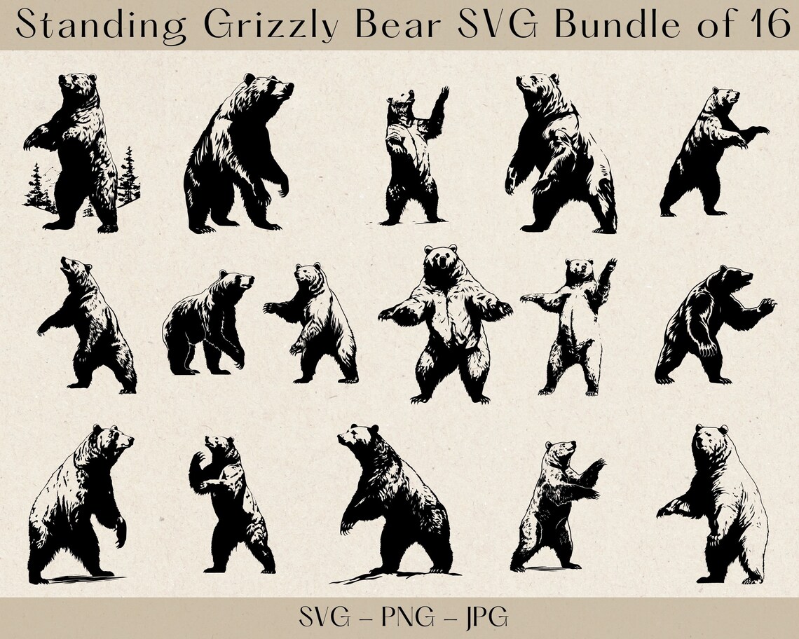 Standing Bear SVG Grizzly Bear SVG Bear SVG Bear Svg - Etsy Australia