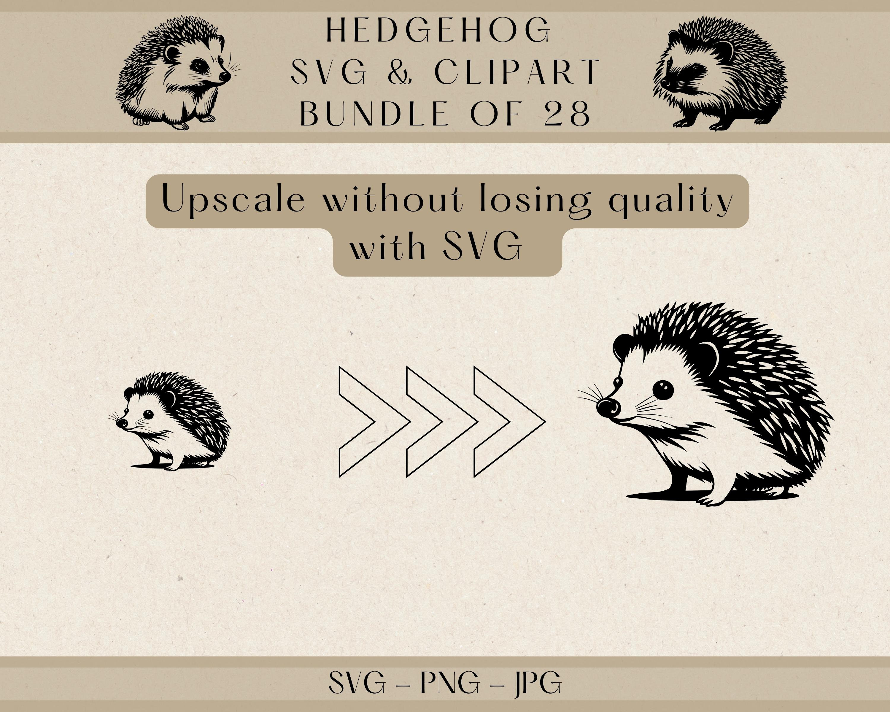 Hedgehog SVG Hedgehog PNG Hedgehog Clipart Hedgehog Vector - Etsy