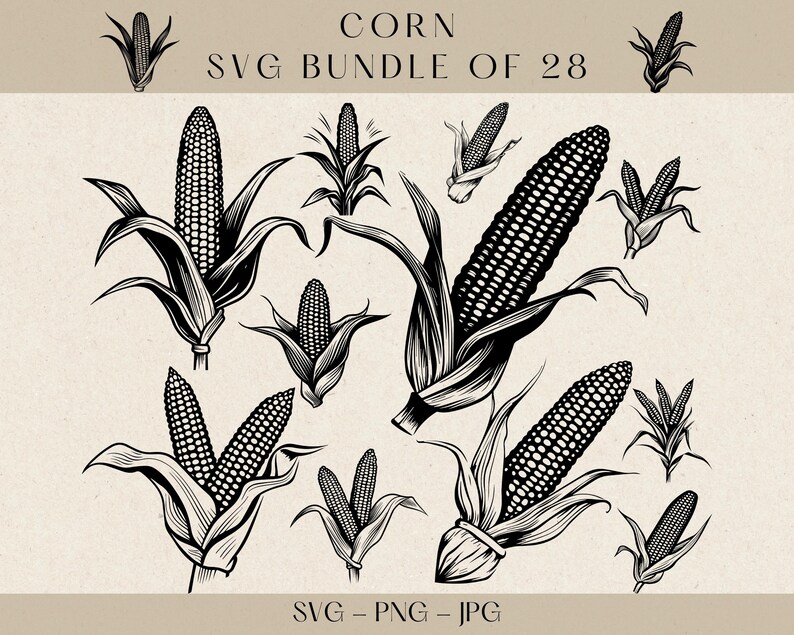 Corn SVG, Corn Clipart, Corn Vector, Corn Silhouette, Farm Vector, Farm ...