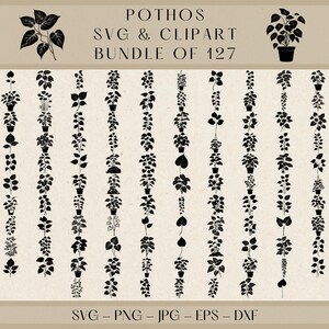 Pothos SVG, Pothos Clipart, Pothos PNG, Pothos Vector, Pothos ...