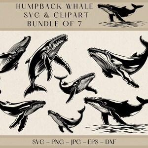 Humpback Whale SVG, Whale Clipart, Whale Png, Whale Vector, Whale ...