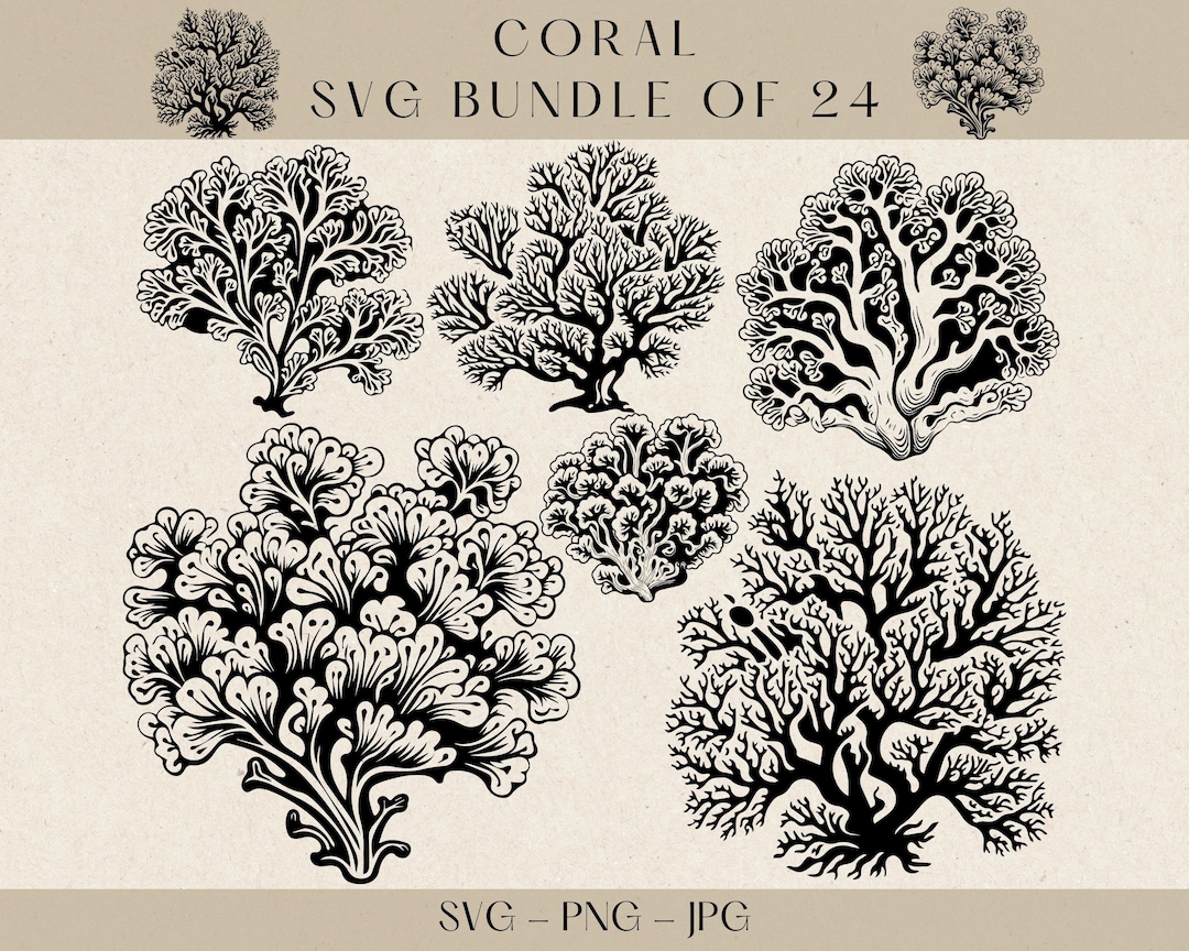 Coral Svg, Ocean Coral Svg, Ocean Svg, Sea Svg, Coral Vector, Coral ...