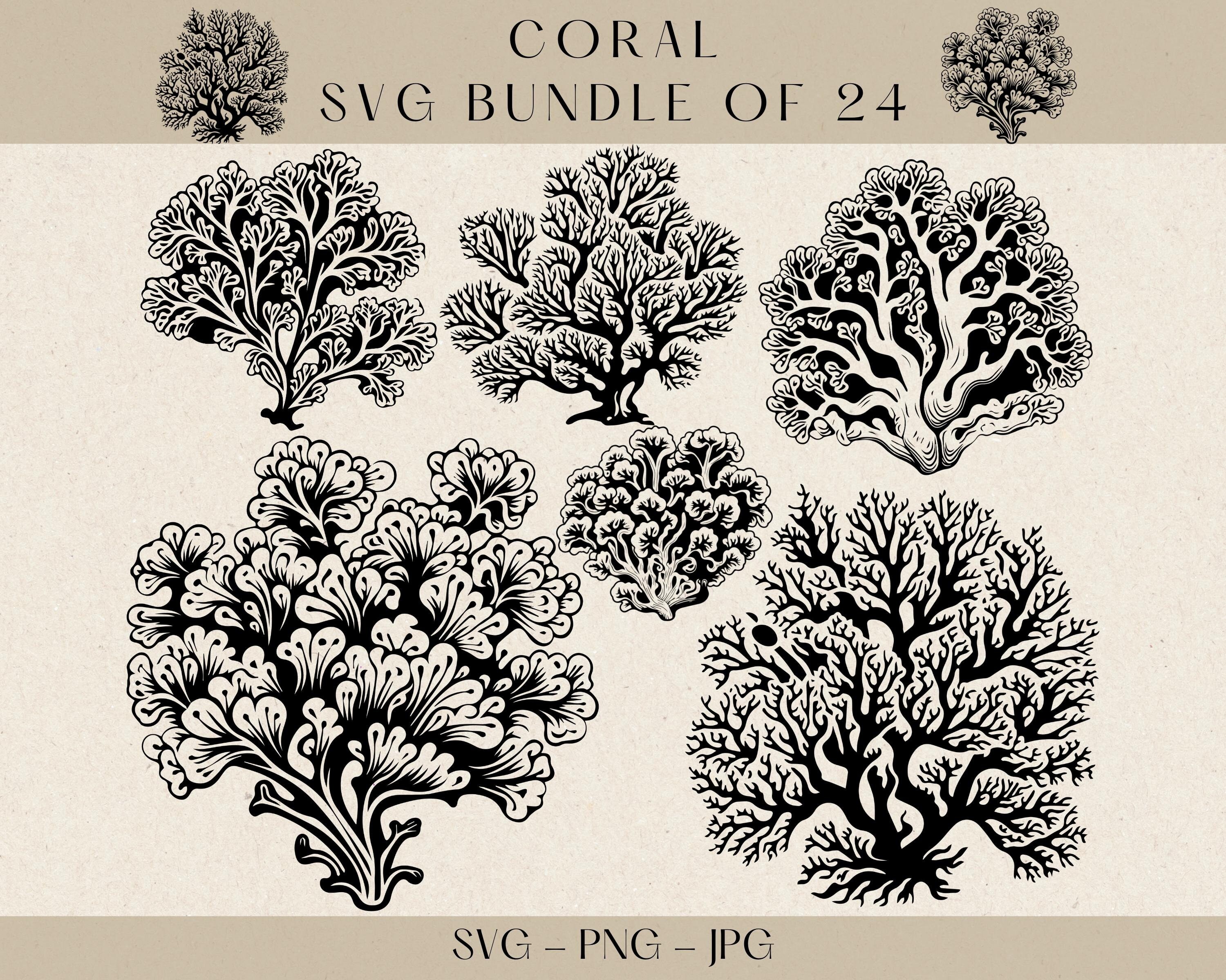 Coral Svg Ocean Coral Svg Ocean Svg Sea Svg Coral Vector - Etsy