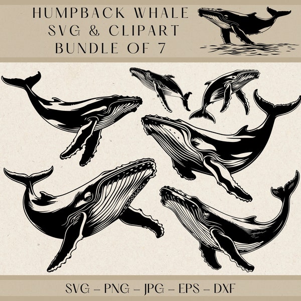 Humpback Whale Art - Etsy
