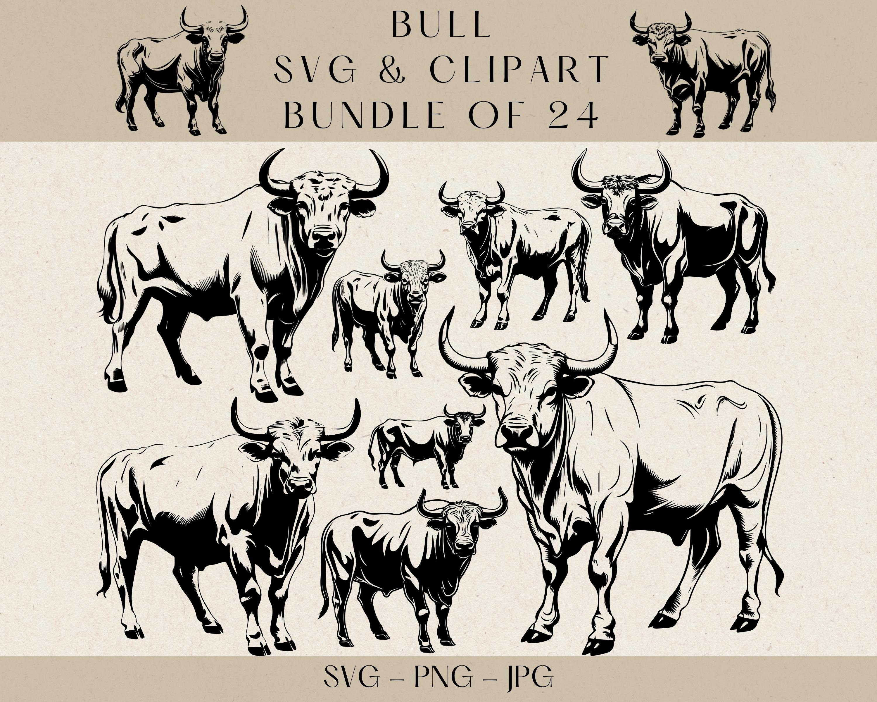 Bull Svg Cow Svg Buffalo Svg Bull Vector Bull Clipart - Etsy