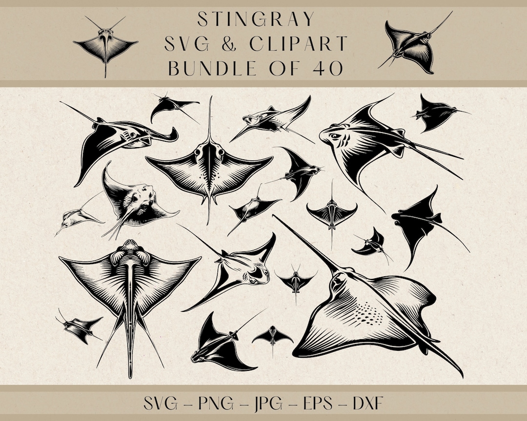 Stingray SVG, Stingray Clipart, Stingray Png, Stingray Vector, Stingray ...