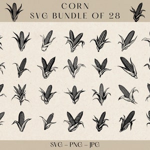 Corn SVG, Corn Clipart, Corn Vector, Corn Silhouette, Farm Vector, Farm ...