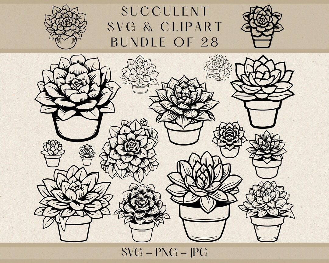 Succulent Svg, Succulent Clipart, Succulent Png, Succulent Vector ...