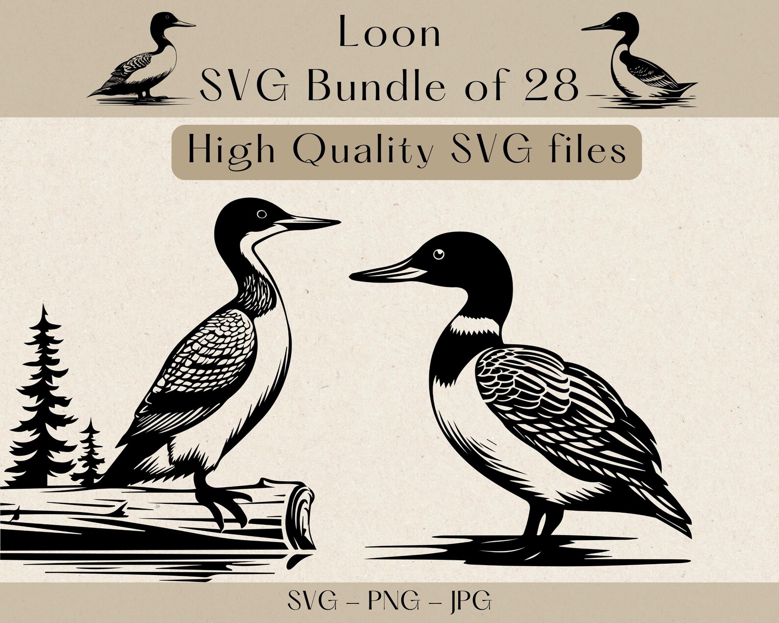 Loon SVG, Loon Bird SVG, Loon Vector, Loon PNG, Loon Silhouette, Bird ...