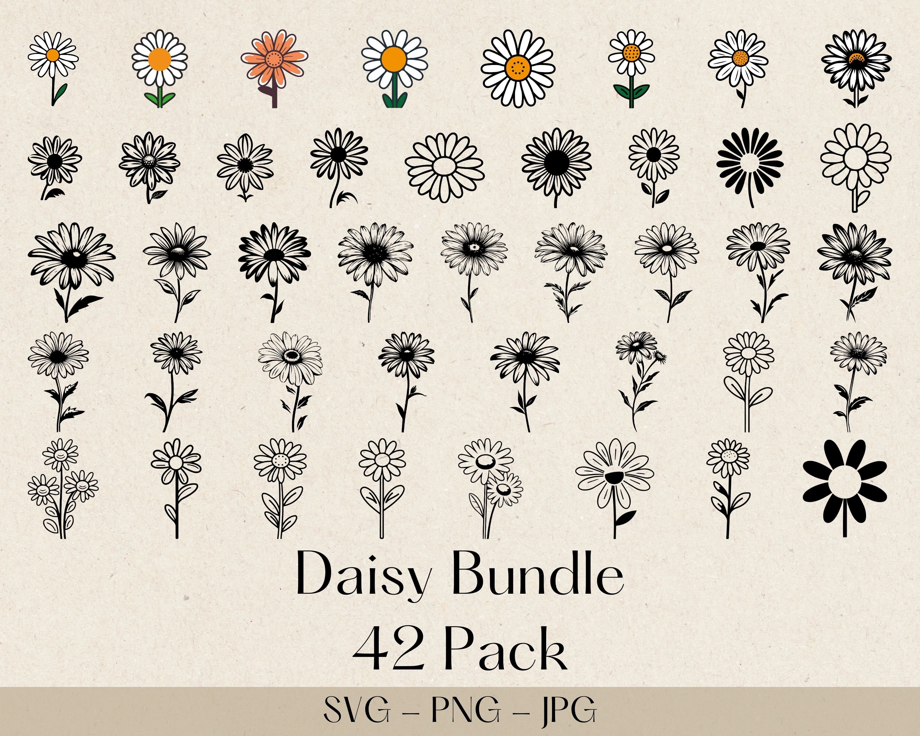 Daisy Svg Bundle Daisy SVG Flower Svg Files for Cricut - Etsy Australia