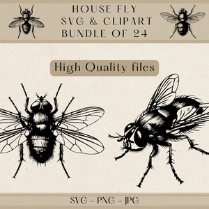 House Fly Svg, Fly Svg, Fly Clipart, Fly Vector, Fly Silhouette, Fly ...
