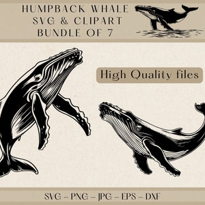 Humpback Whale SVG, Whale Clipart, Whale Png, Whale Vector, Whale ...