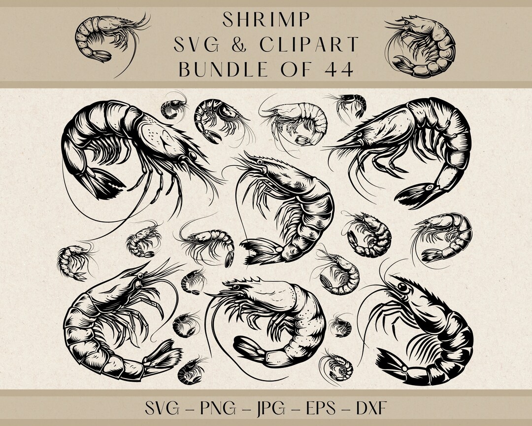Shrimp SVG, Shrimp Clipart, Shrimp Png, Shrimp Vector, Shrimp ...