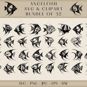 Angelfish Svg, Angelfish Clipart, Fish Svg, Fish Clipart, Fish Png ...