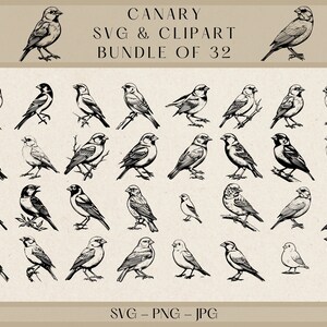 Canary Svg, Canary Png, Canary Clipart, Canary Vector, Canary ...
