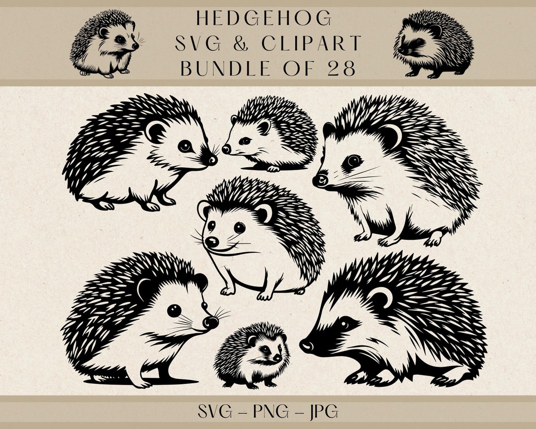 Hedgehog SVG, Hedgehog PNG, Hedgehog Clipart, Hedgehog Vector, Hedgehog ...
