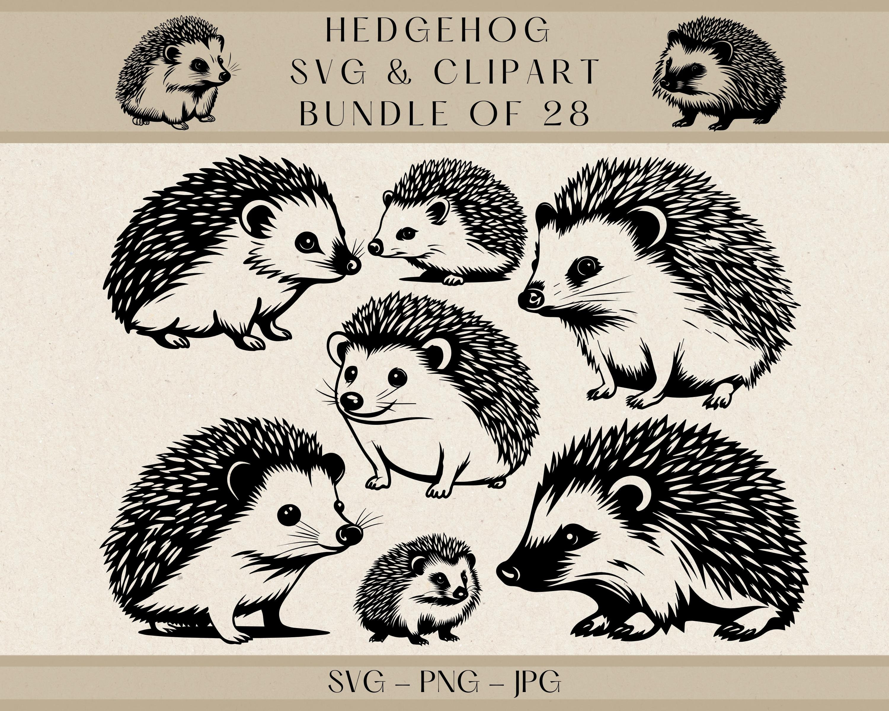 Hedgehog SVG Hedgehog PNG Hedgehog Clipart Hedgehog Vector - Etsy