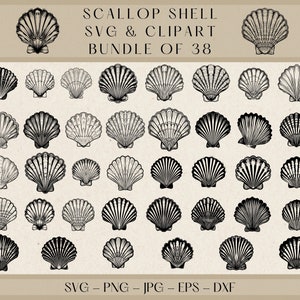 Scallop Shell SVG, Scallop Shell Clipart Scallop Vector, Scallop ...