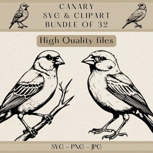 Canary Svg, Canary Png, Canary Clipart, Canary Vector, Canary ...