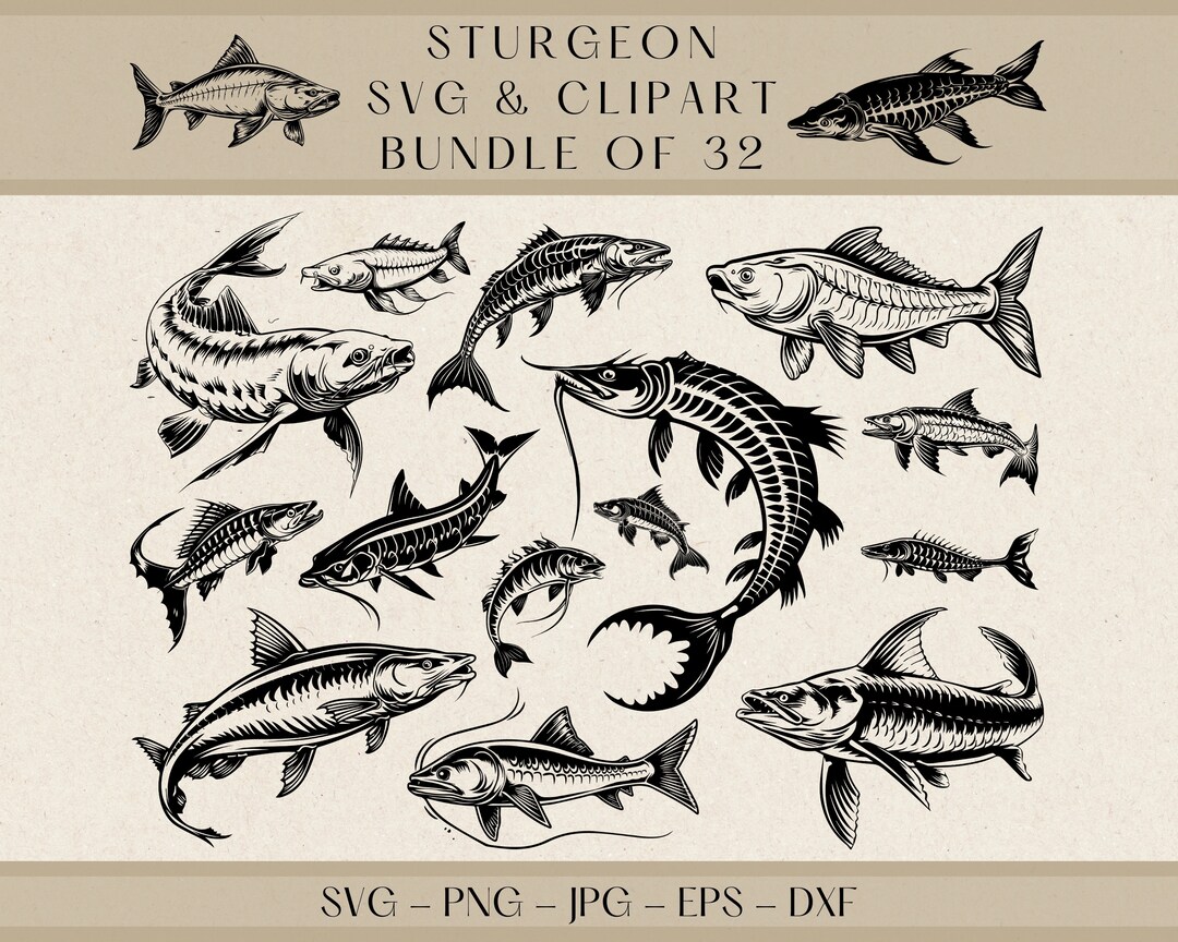 Sturgeon SVG, Sturgeon Clipart, Sturgeon Png, Sturgeon Vector, Sturgeon ...