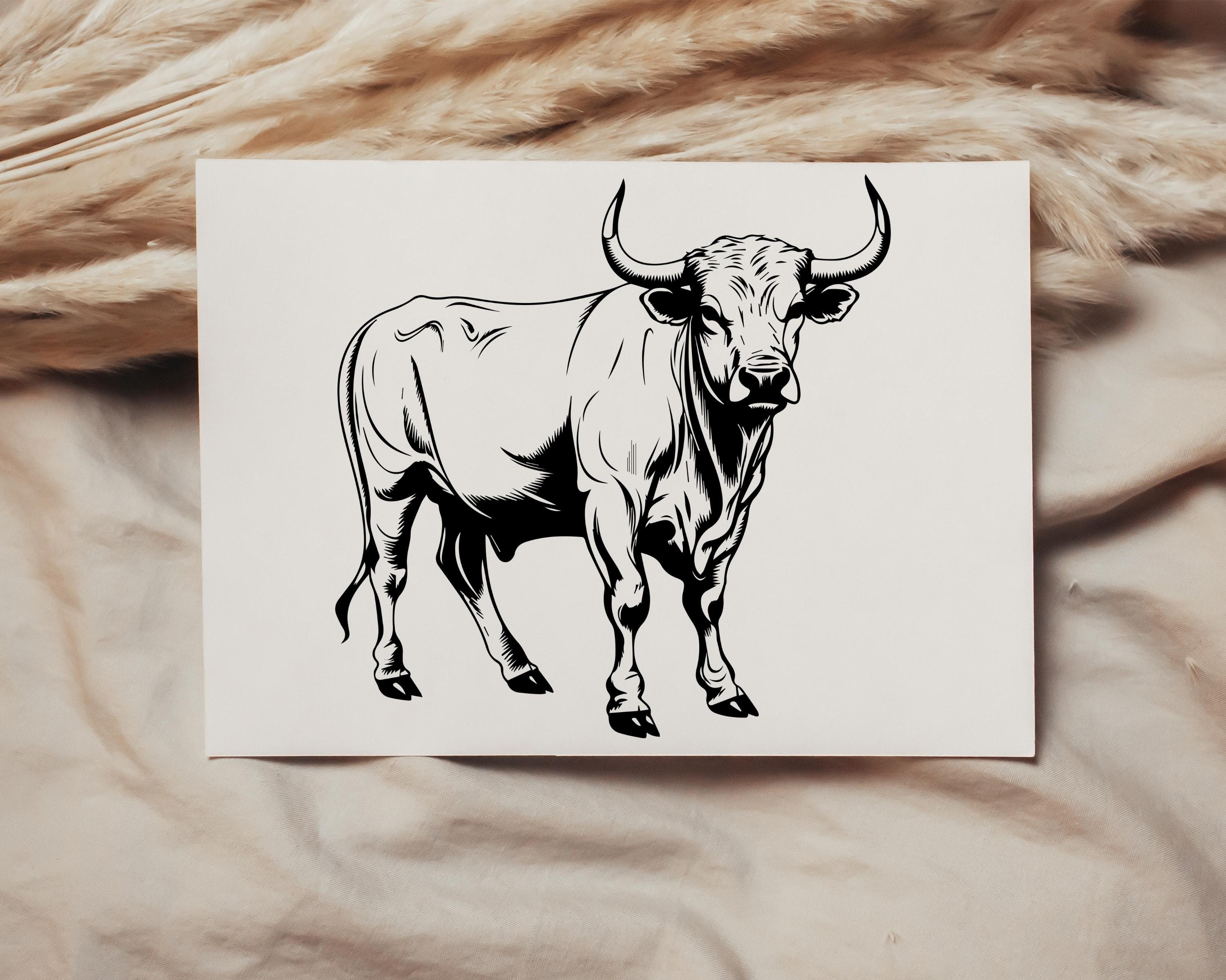 Bull Svg Cow Svg Buffalo Svg Bull Vector Bull Clipart - Etsy
