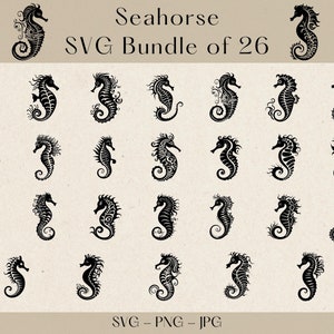 Seahorse SVG, Seahorse SVG Bundle, Seahorse PNG, Seahorse Clipart ...