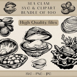 Sea Clam SVG, Sea Clam Clipart, Sea Clam Png, Sea Clam Vector, Seashell ...