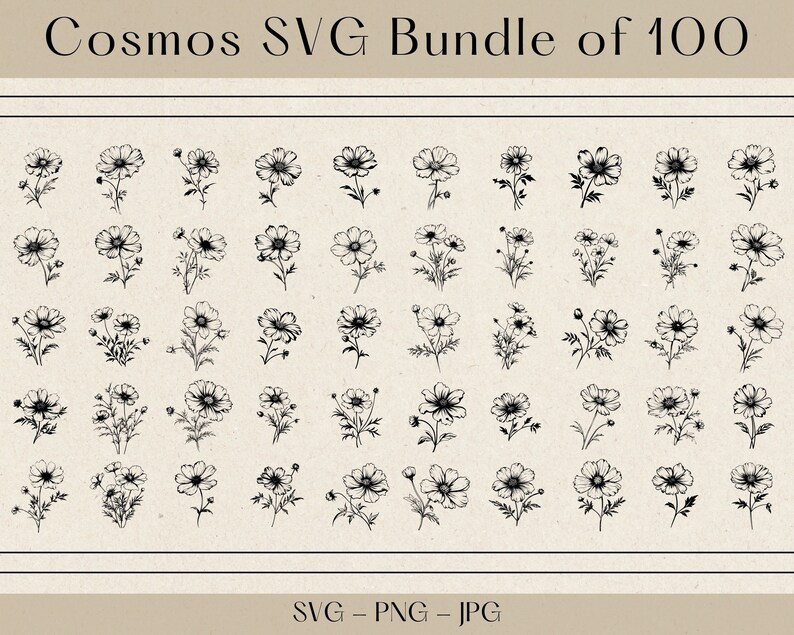 Cosmos SVG Bundle Cosmos SVG Cosmos Clipart Cosmos Flower - Etsy