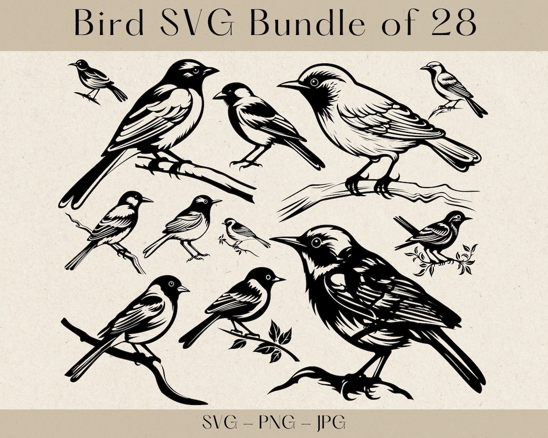 Vogel svg, Vogel svg Bundle, Vogel Silhouette, Vogel geschnitten ...