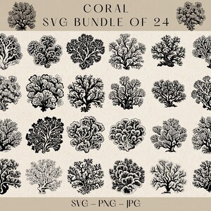 Coral Svg, Ocean Coral Svg, Ocean Svg, Sea Svg, Coral Vector, Coral ...